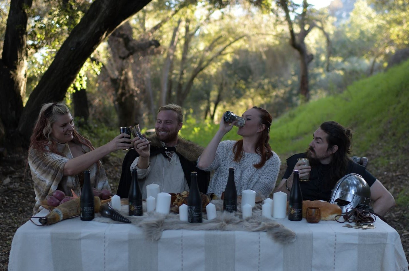 Viking Mead Series - 4 Bottle Set – Batch Mead